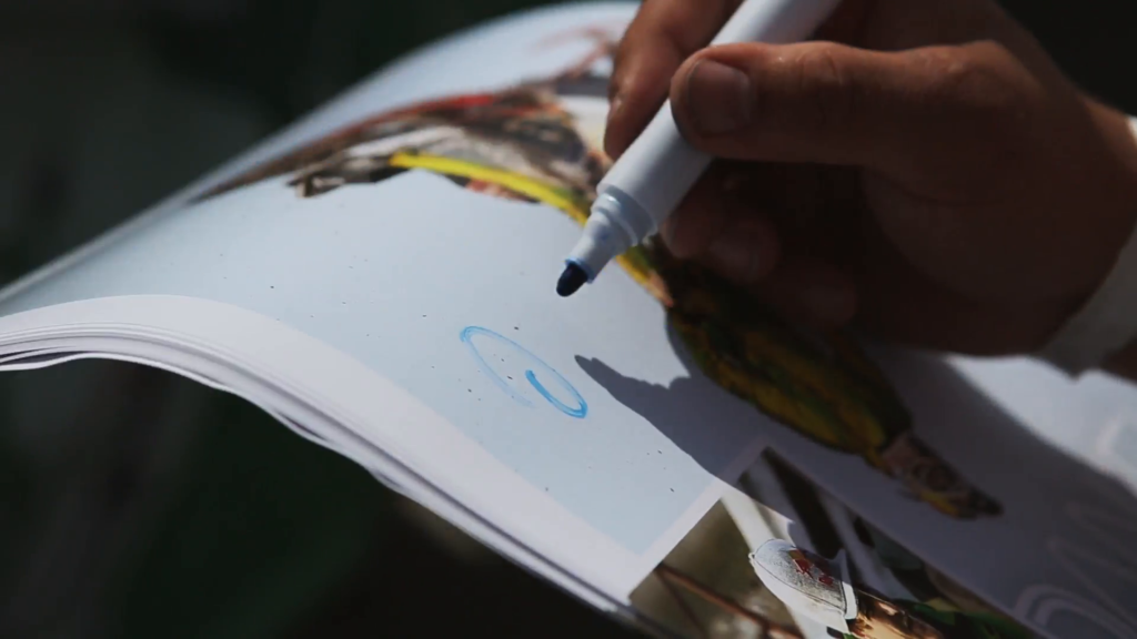 A Guide For The Autograph Buyers – What You Need To Do - Blog Publisher