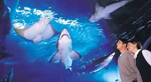 Grand Rapids & Lake Michigan's Gold Coast Must Visit - Blog Publisher